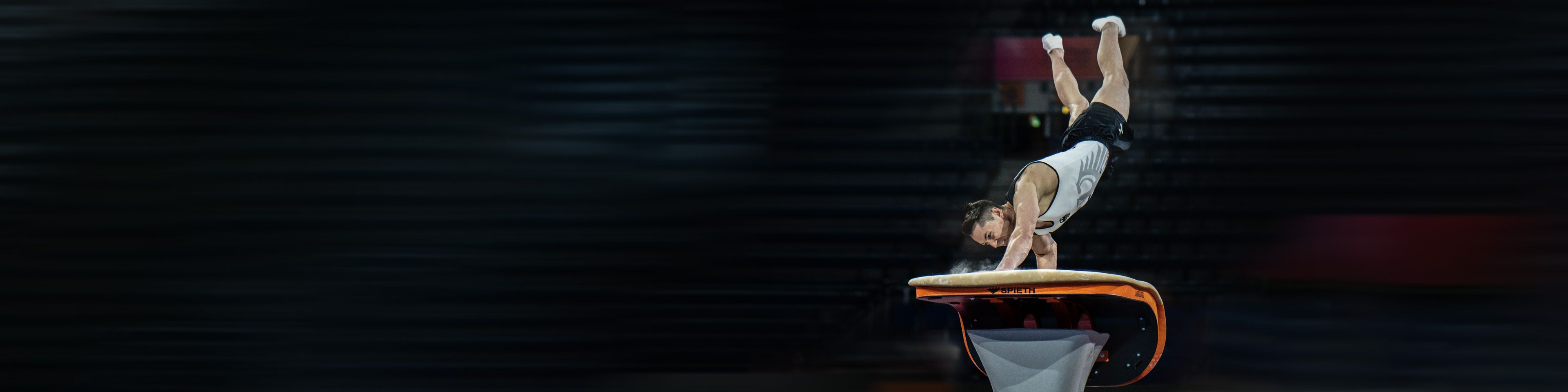 Vault | SPIETH Gymnastics